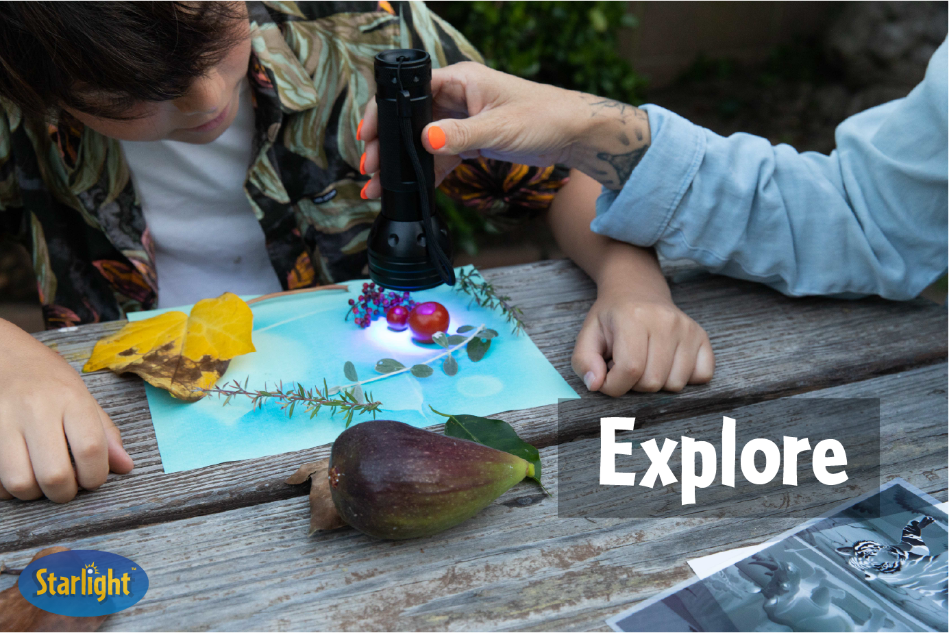 The Art-Science Connection: Introducing Starlight UV Sun-Sensitive Pap ...