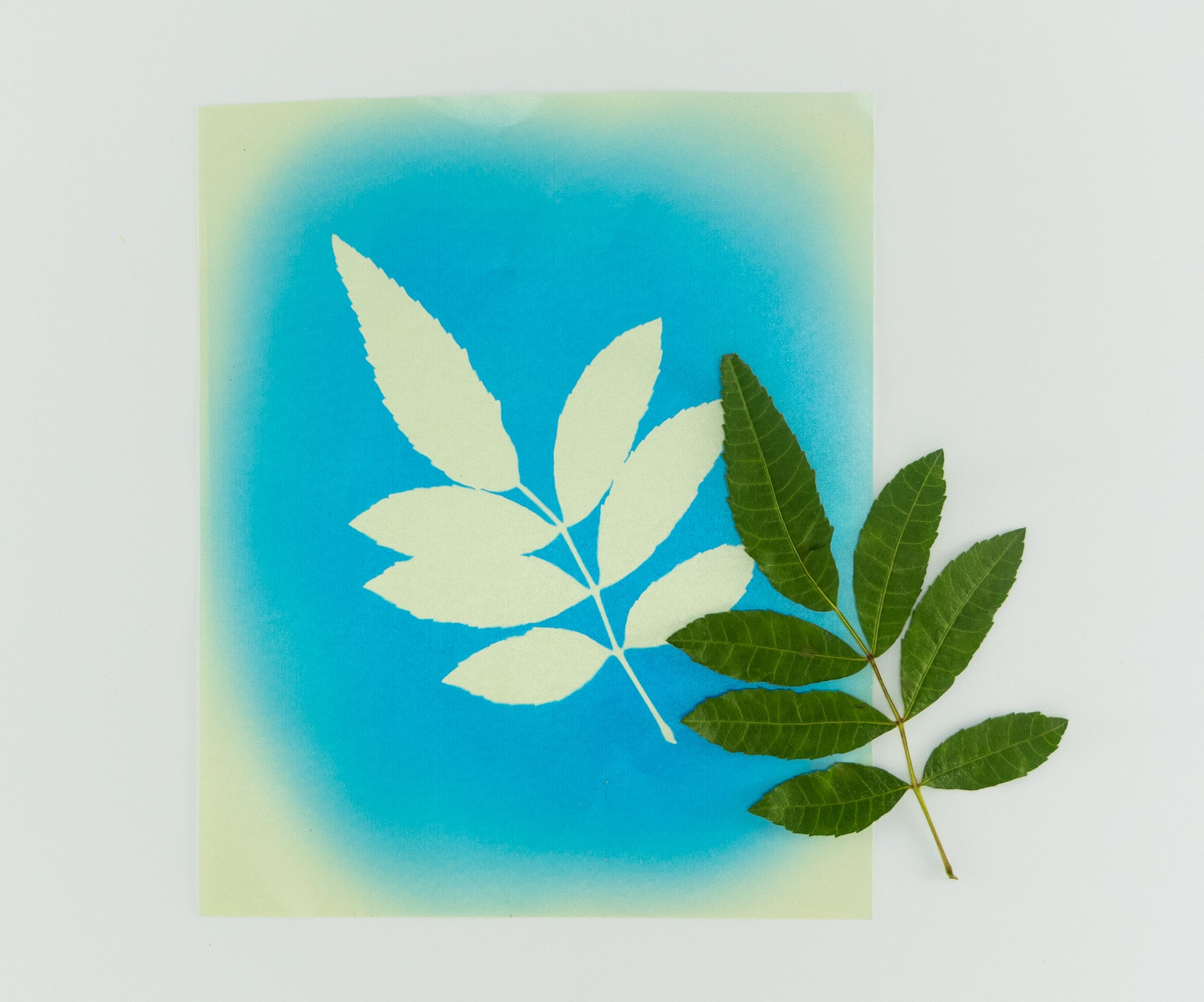 Parents — Fun Activity Ideas With Starlight – Starlight UV Sun Paper